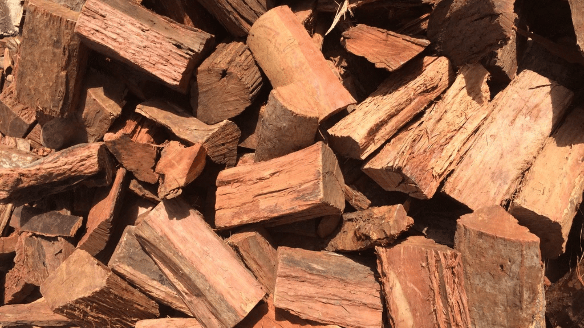 What is the Strongest Wood? A Practical Guide - Minimal And Modern