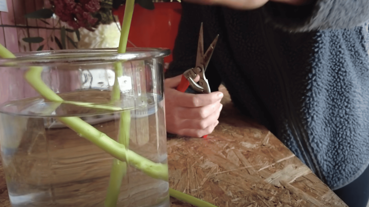 How to Cut Flowers for a Vase - Minimal And Modern