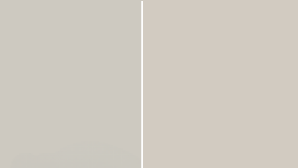 SW Repose Gray: What to Know Before You Paint - Minimal And Modern