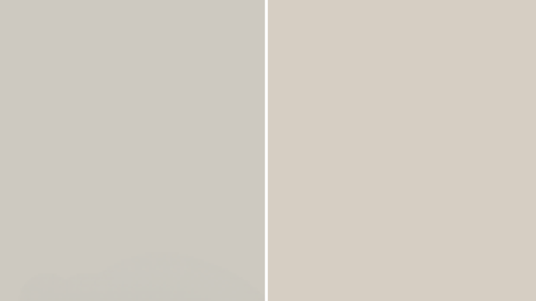 SW Repose Gray: What to Know Before You Paint - Minimal And Modern