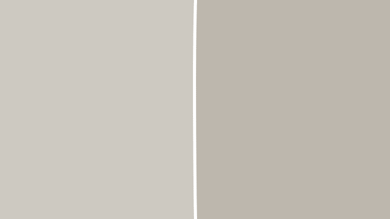 SW Repose Gray: What to Know Before You Paint - Minimal And Modern